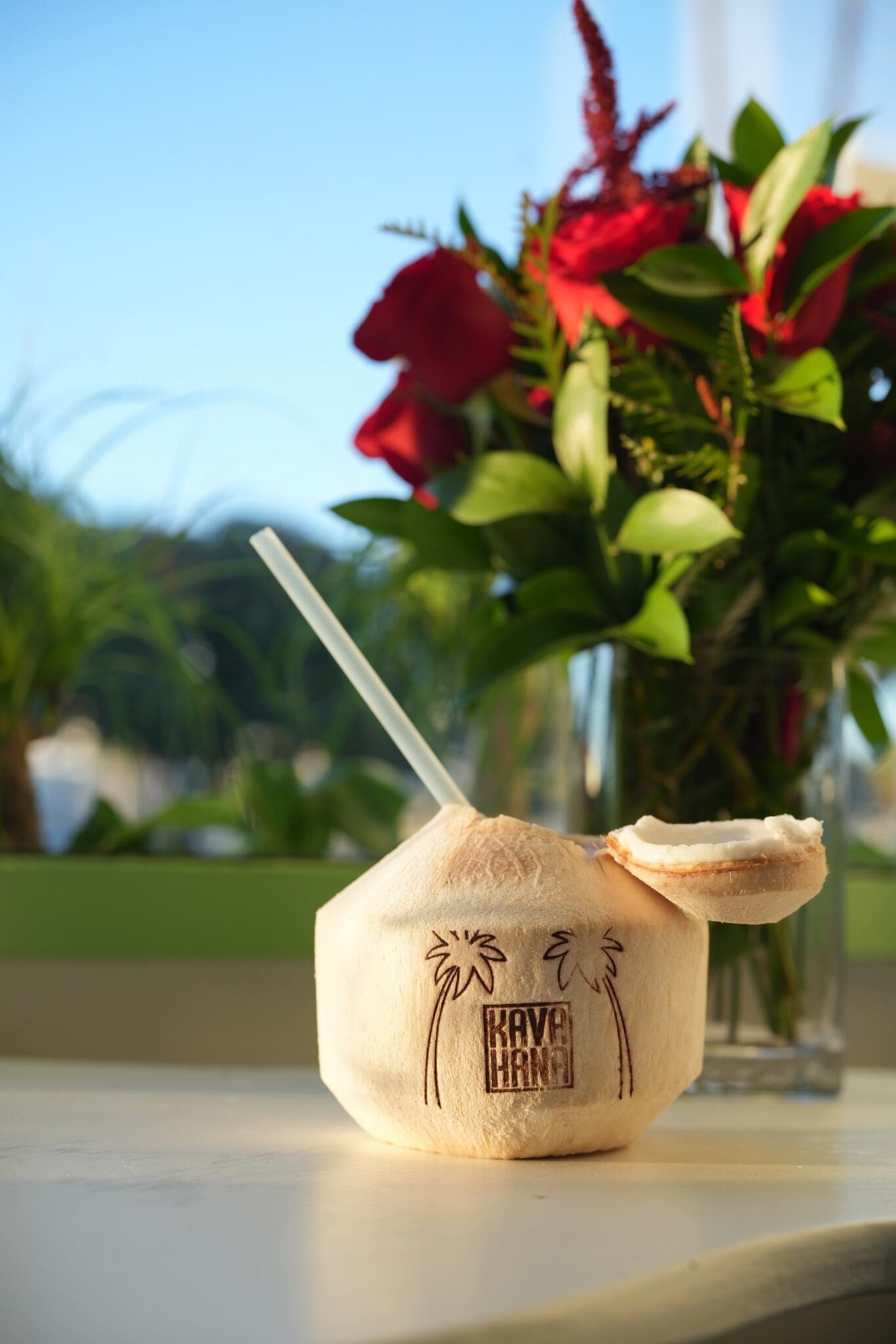 Kavahana: The First Non-Alcoholic Kava Nectar Bar in Los Angeles ...
